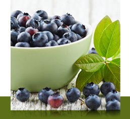 Ferme R. Labrecque - Ferme R. Labrecque